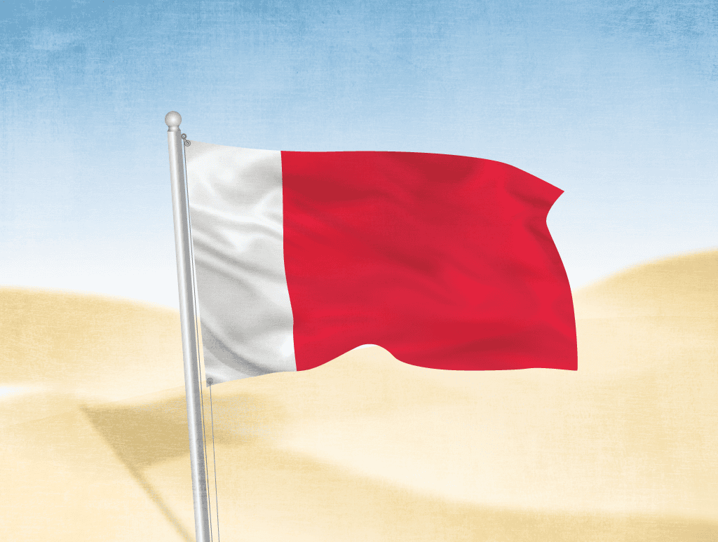 What does the Dubai flag look like and what do its colours mean? | Two ...