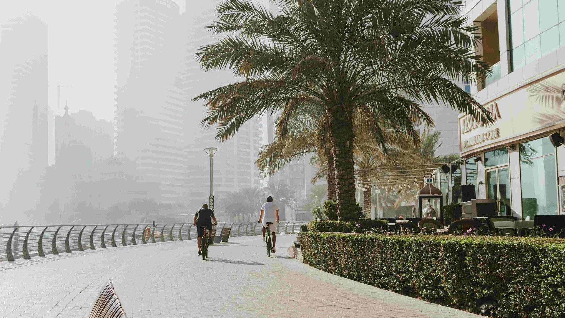 Al Qudra Cycling Track - A guide to one of the best cycling routes in ...