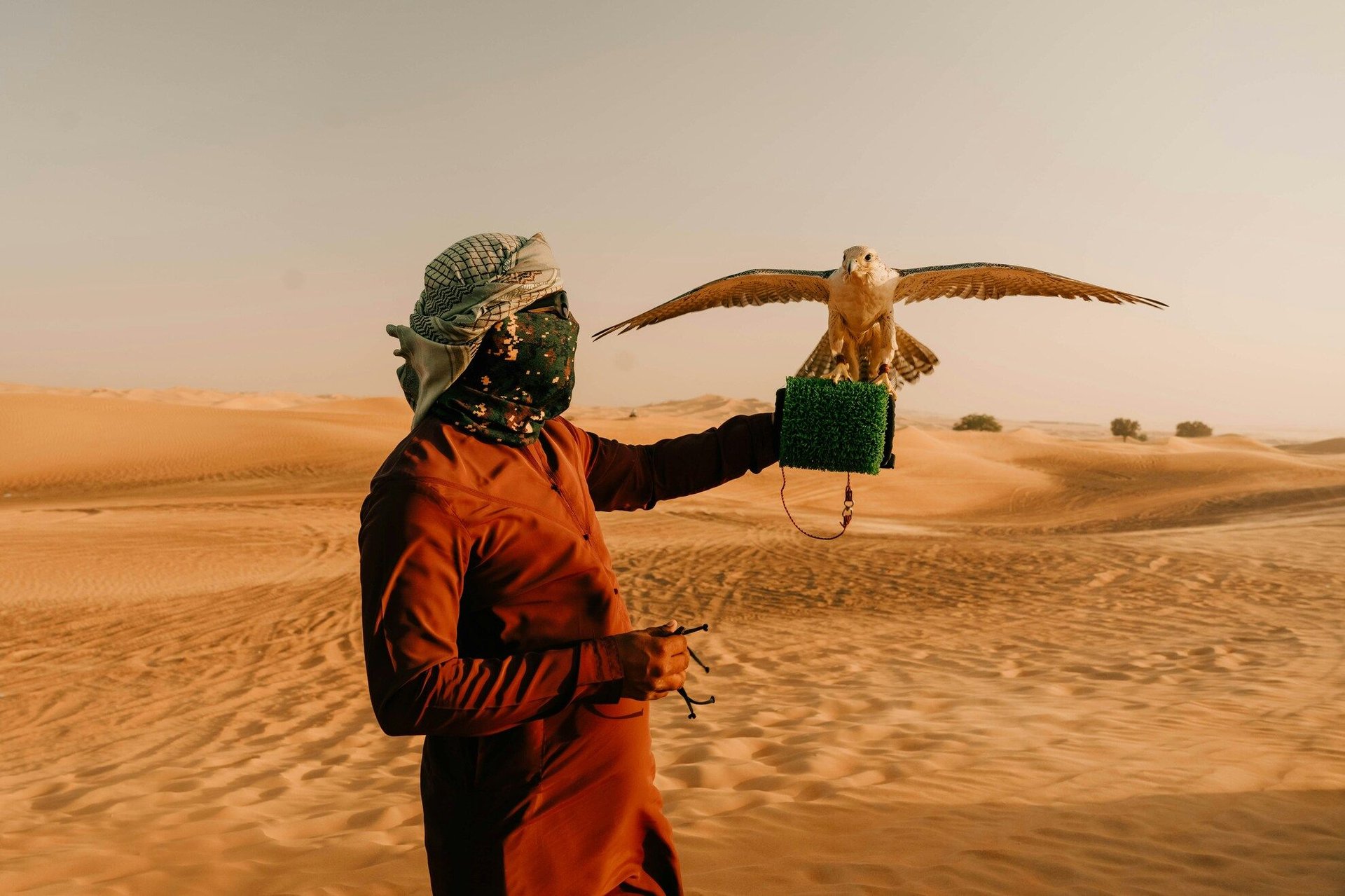 Falconry in Dubai – discover the traditions of the desert | Two Continents