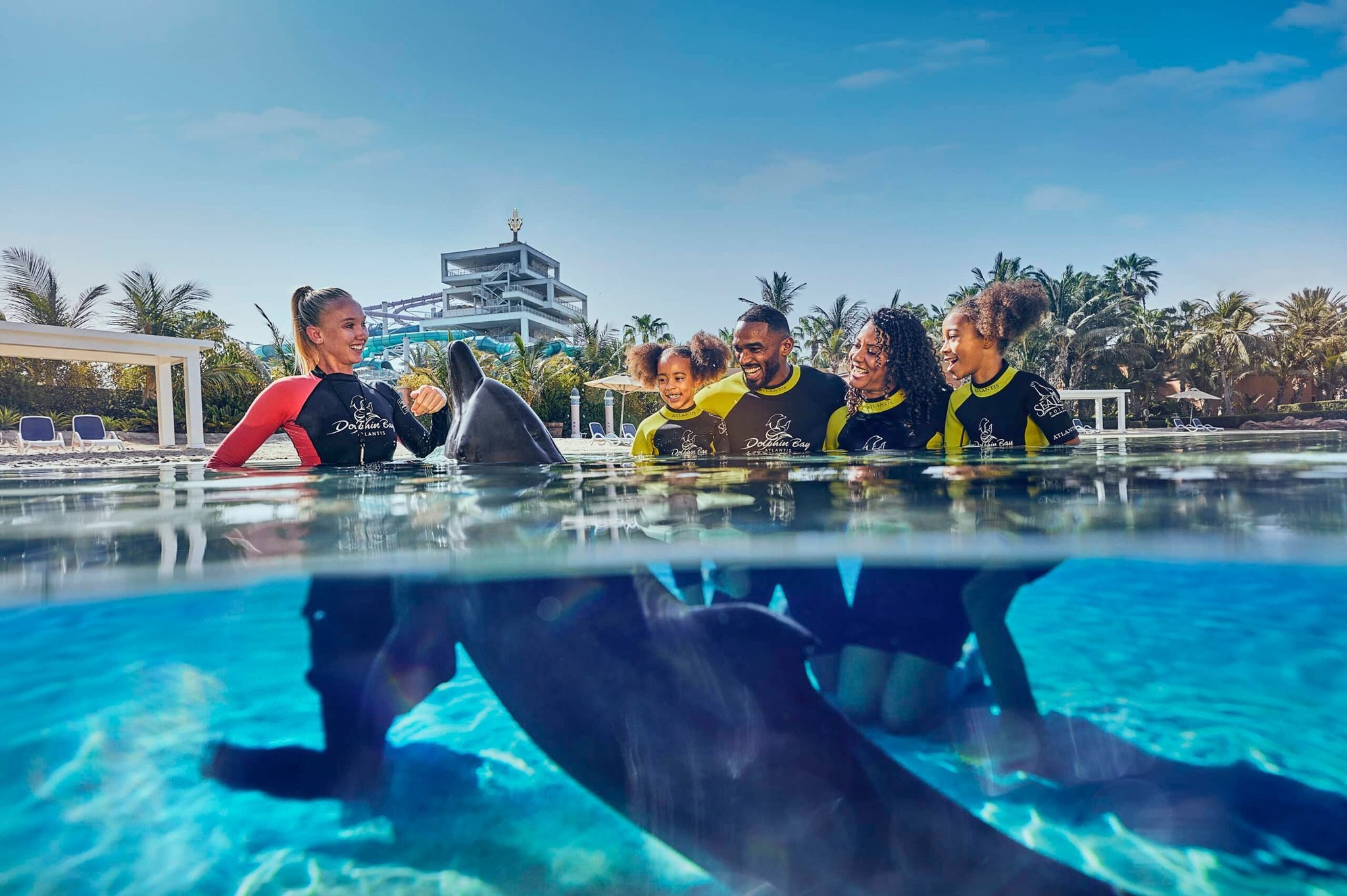 Dolphin Bay Atlantis in Dubai – Book Online | Two Continents