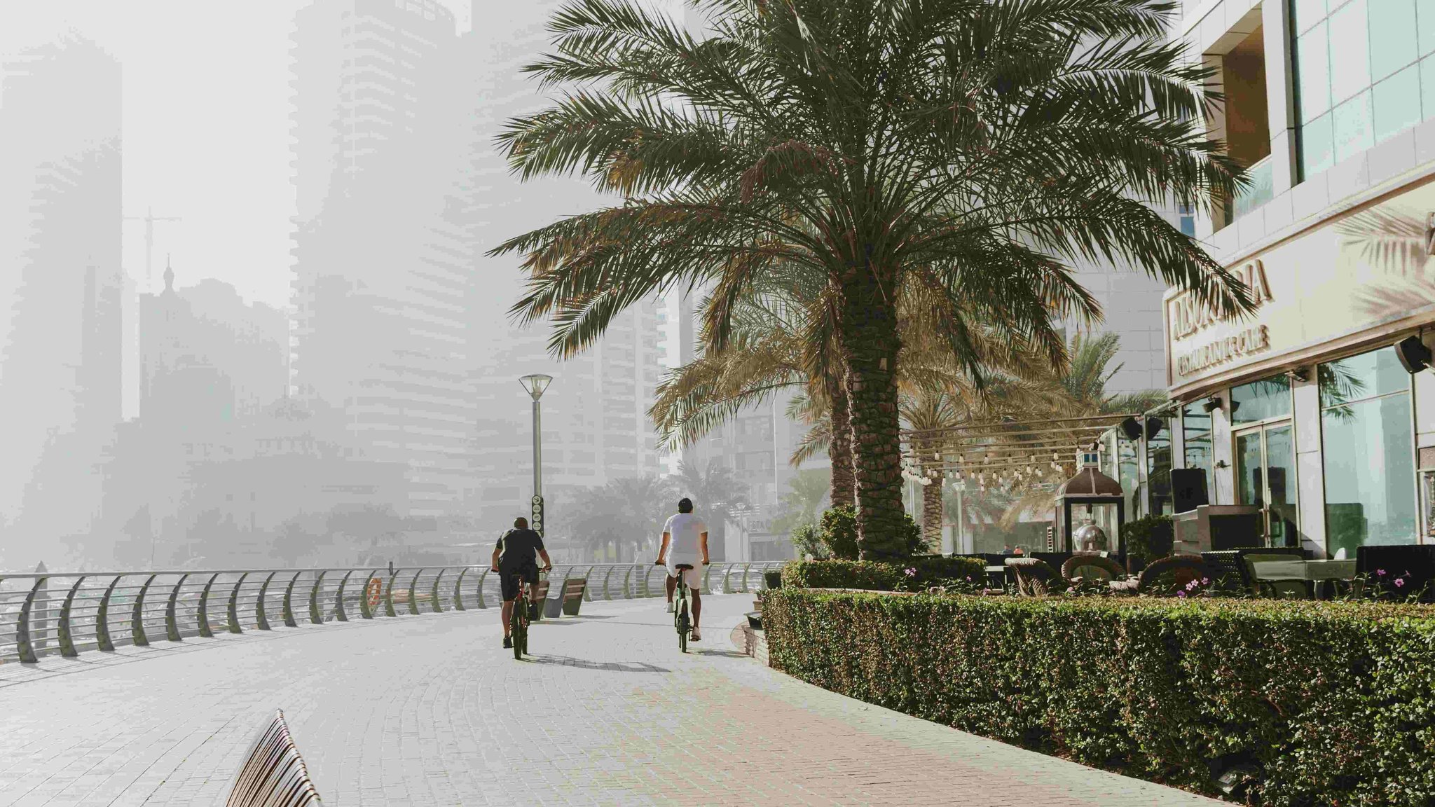 Al Qudra Cycling Track - A guide to one of the best cycling routes in ...