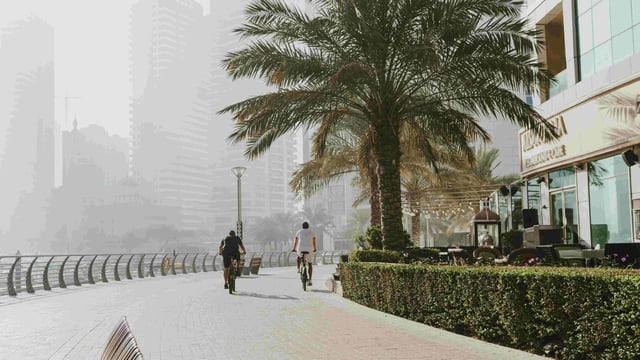 Al Qudra Cycling Track - A guide to one of the best cycling routes in ...