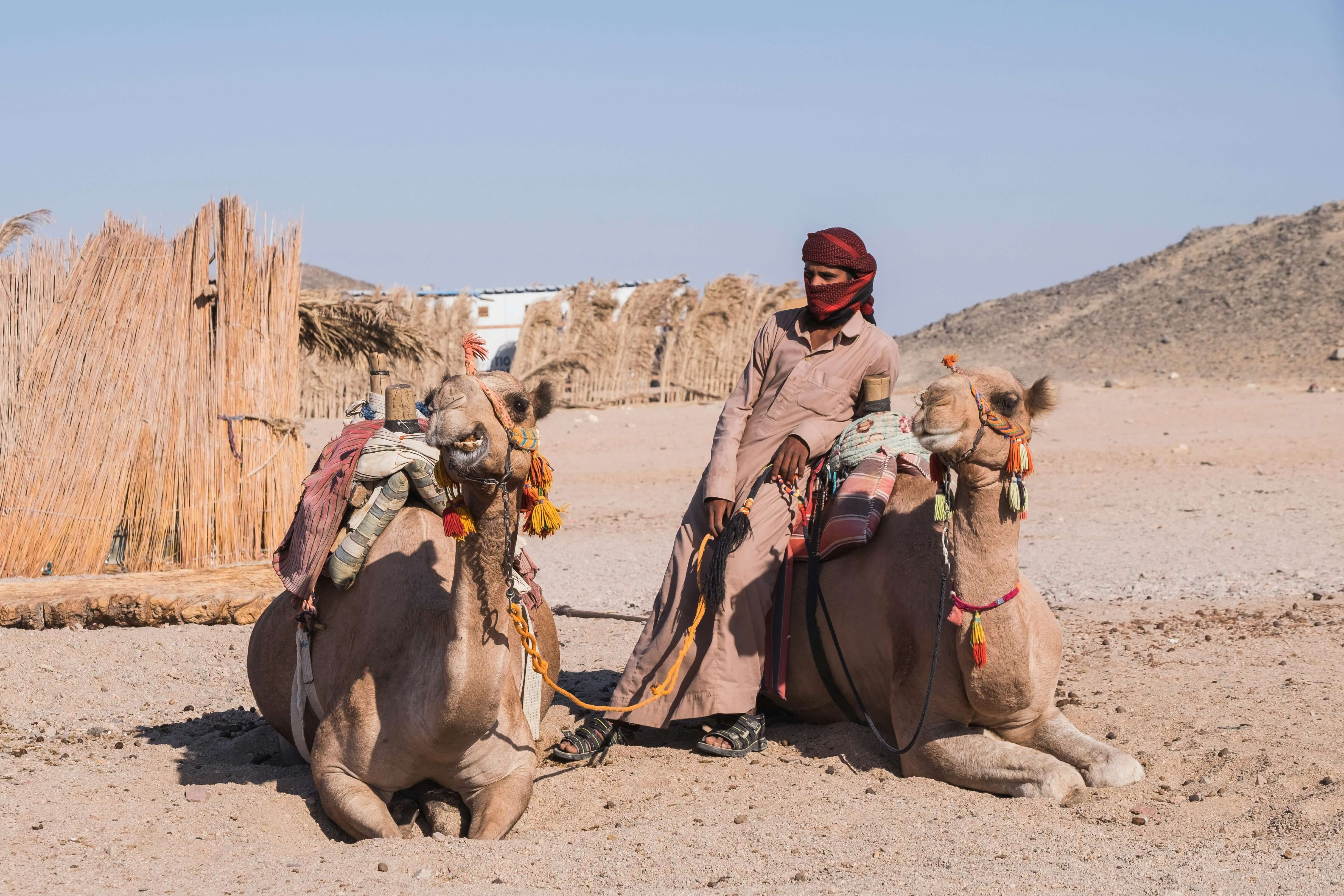 Who are the Bedouins? Traditions and life in the desert | Two Continents | Two Continents